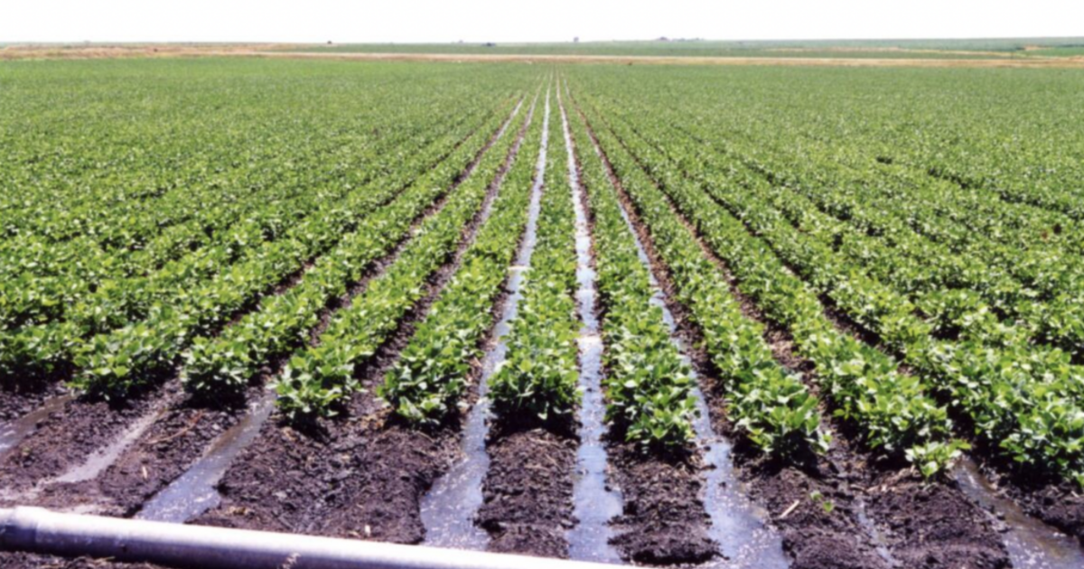 Irrigators granted standing in formal protest over consolidation of ...