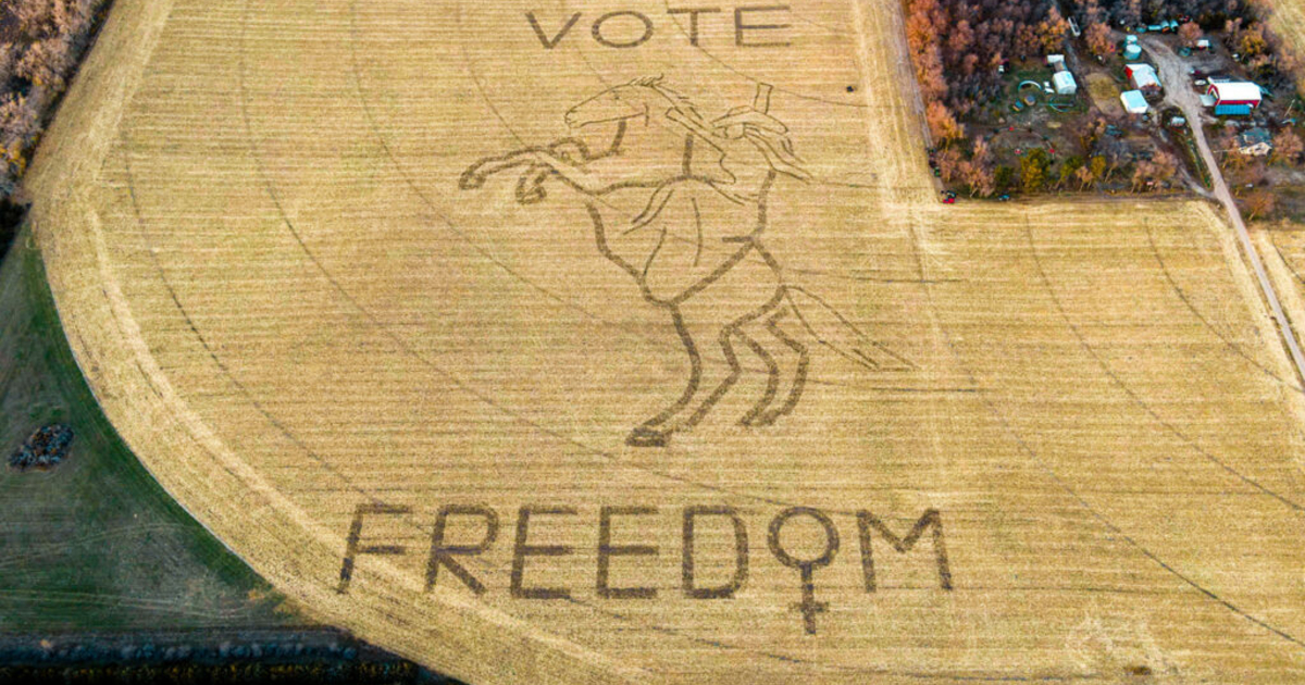 Crop art near Neligh shows support for abortion rights, disced into ...