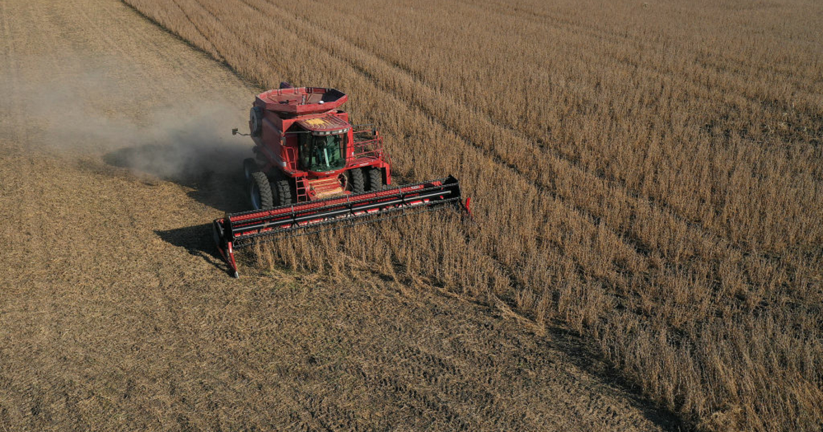 Omaha company chosen to develop soybean processing plant near North ...