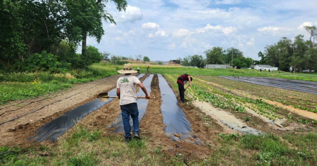 Homes, urban farm stand at site of proposed Omaha business park buoyed ...