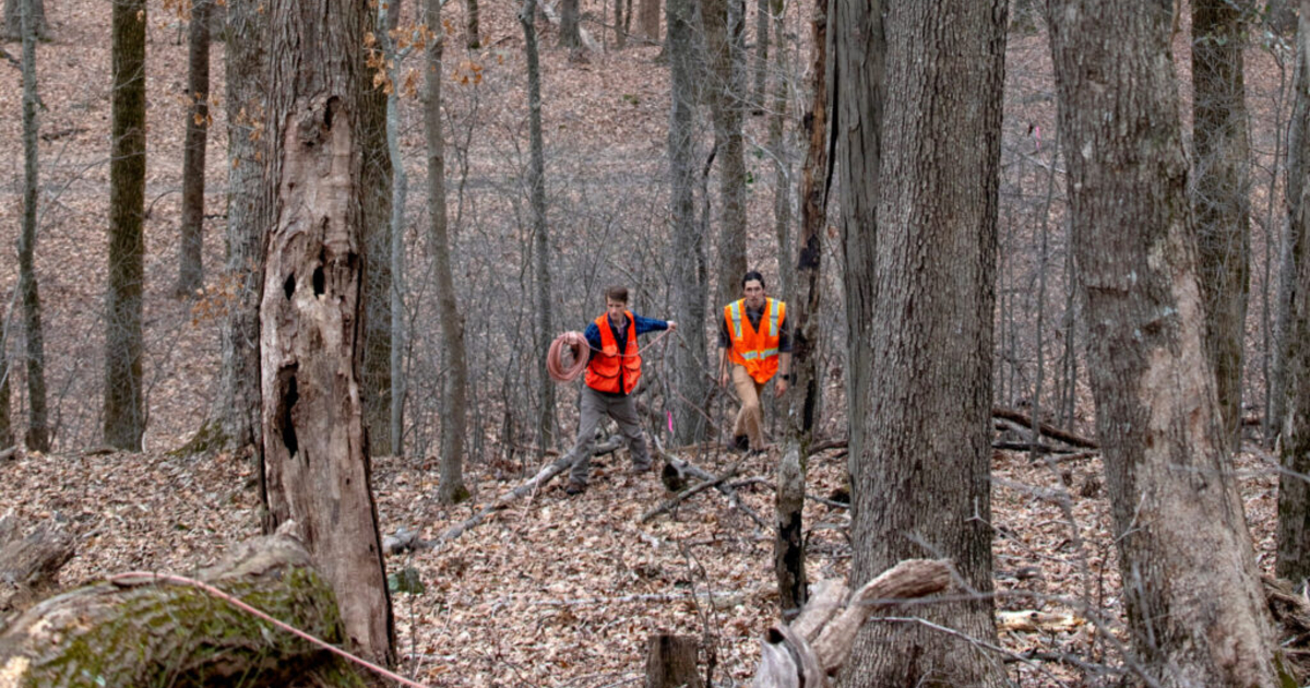 Alabama research center works to understand ‘one of the last great wild ...