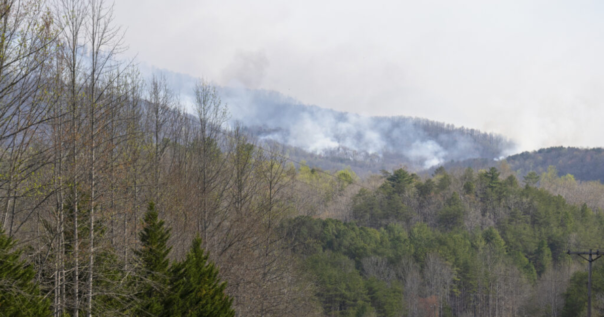 No injuries or damage to structures as SC wildfires expand past 10,000 ...