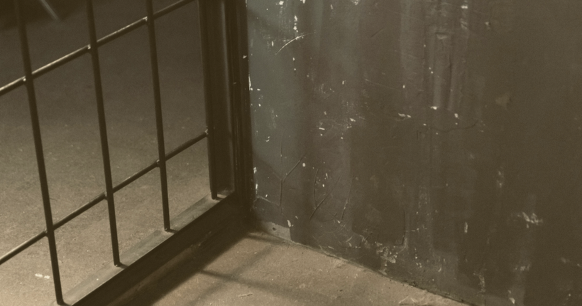 ‘This Place Is a Circus’: Eight Months Since a Guard Strike, State ...