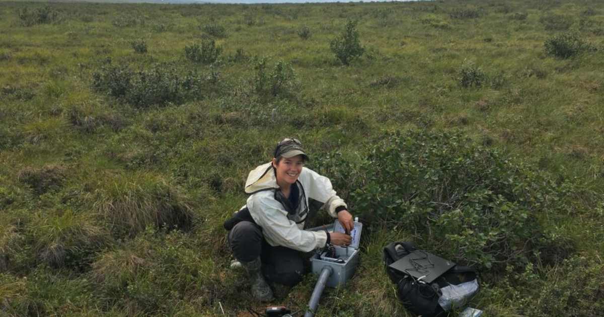 Amid Alaska’s permafrost areas, more soil is staying thawed year-round ...