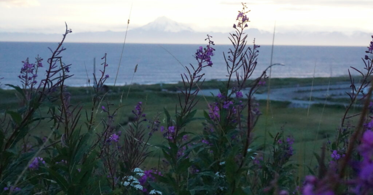 Controversial lease sale in Alaska’s Cook Inlet that drew one bid ...