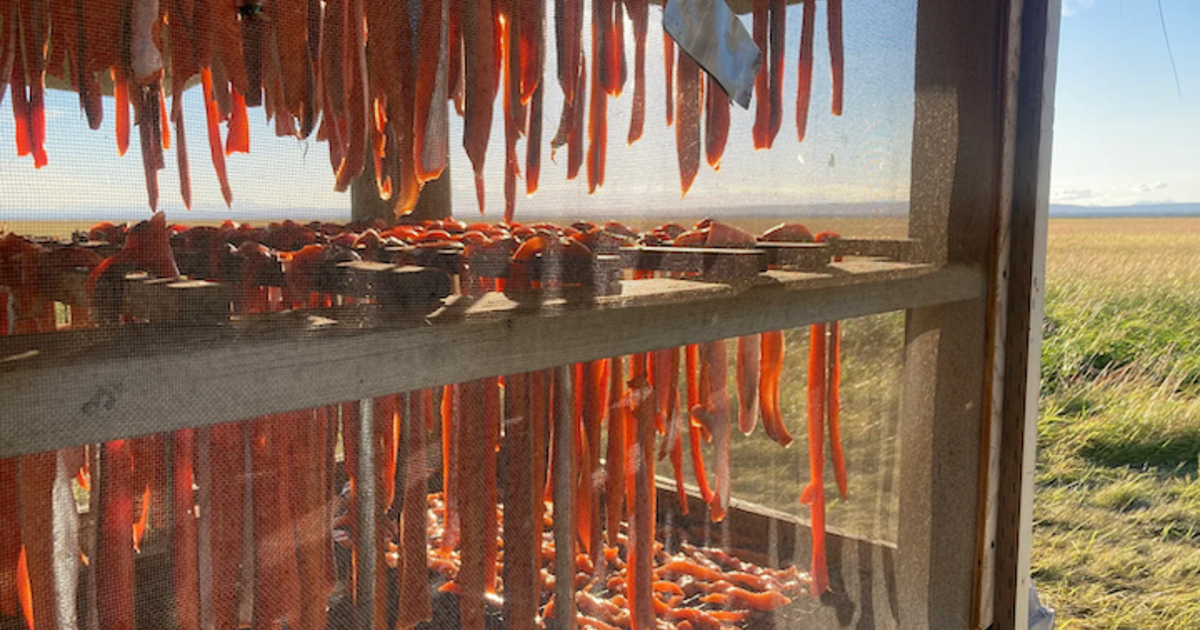 With little movement on salmon bycatch, Alaska advocates look to Biden ...