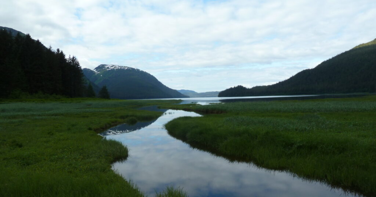 Federal law doesn’t mandate minimum amounts of logging in Alaska’s ...