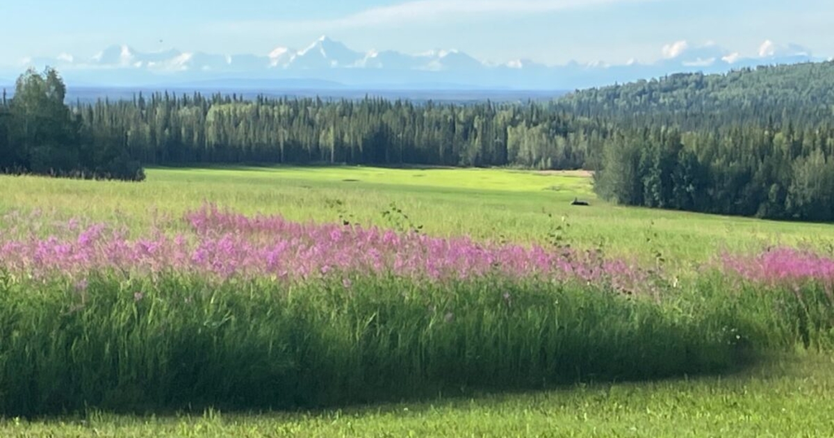 Former Fairbanks columnist reflects on years of political writing in ...