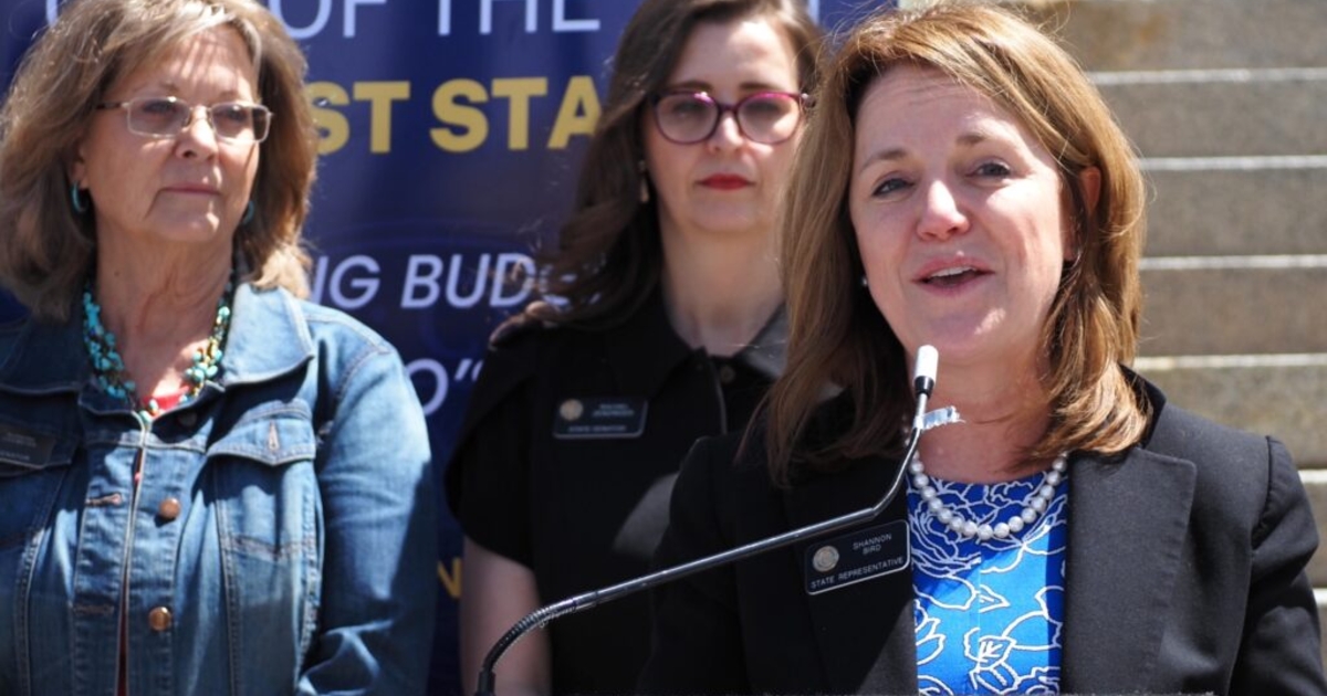 Colorado Rep. Shannon Bird joins Democratic primary to challenge U.S ...