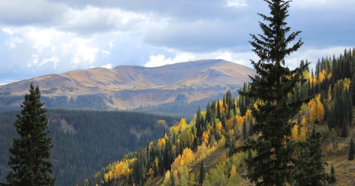 Roadless areas protect America’s wildest lands. They must be preserved ...