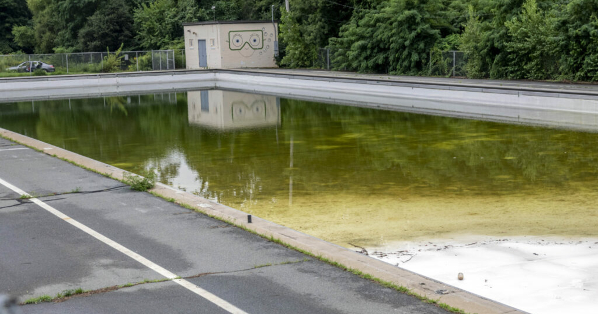 The tragedy of the Budlong Pool | News From The States