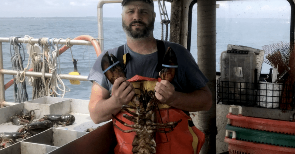 One week in, only six remain on newly repopulated R.I. fishing panel ...