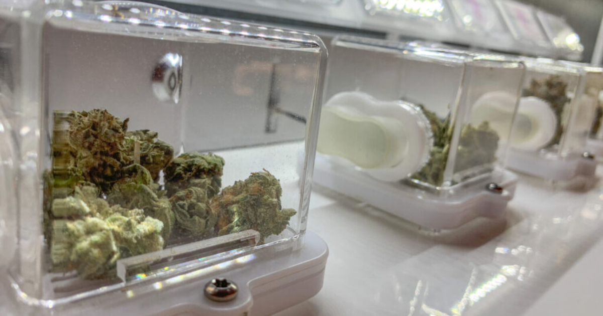 Cannabis regulators open screening portal for social equity retail license applicants | News ...