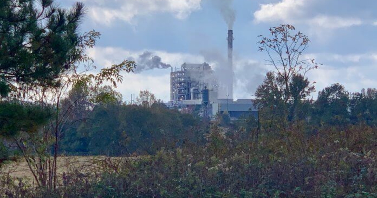 Time to take off the mule blinders | News From The States