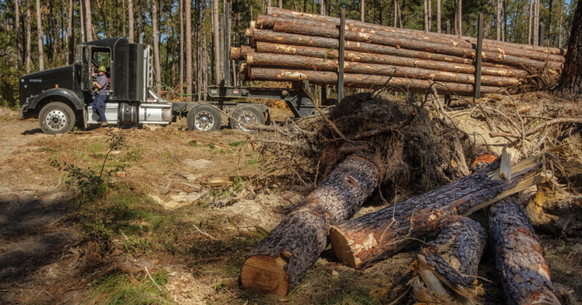 Georgia lawmakers advance tax breaks to offset hurricane damage for ...