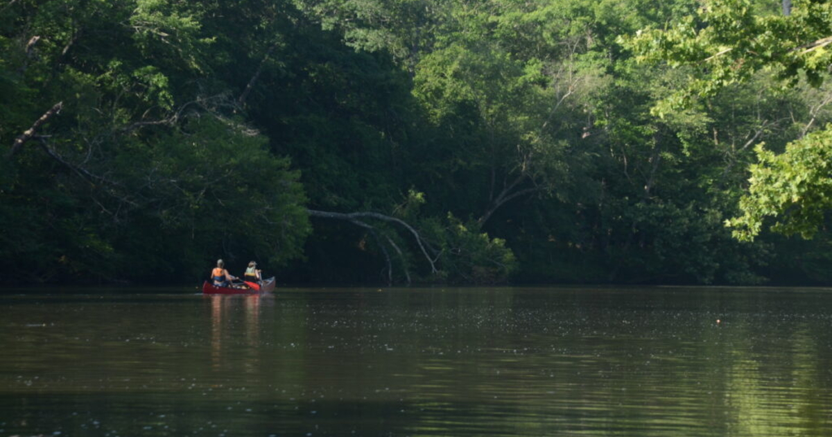 Massive Burt Jones-backed project among wave of data centers proposed ...