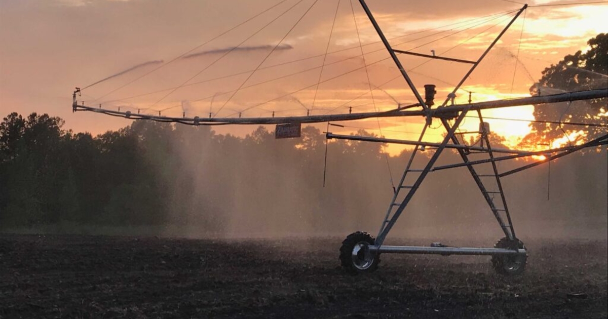 Georgia is losing farmland fast. A new state program aims to help save ...