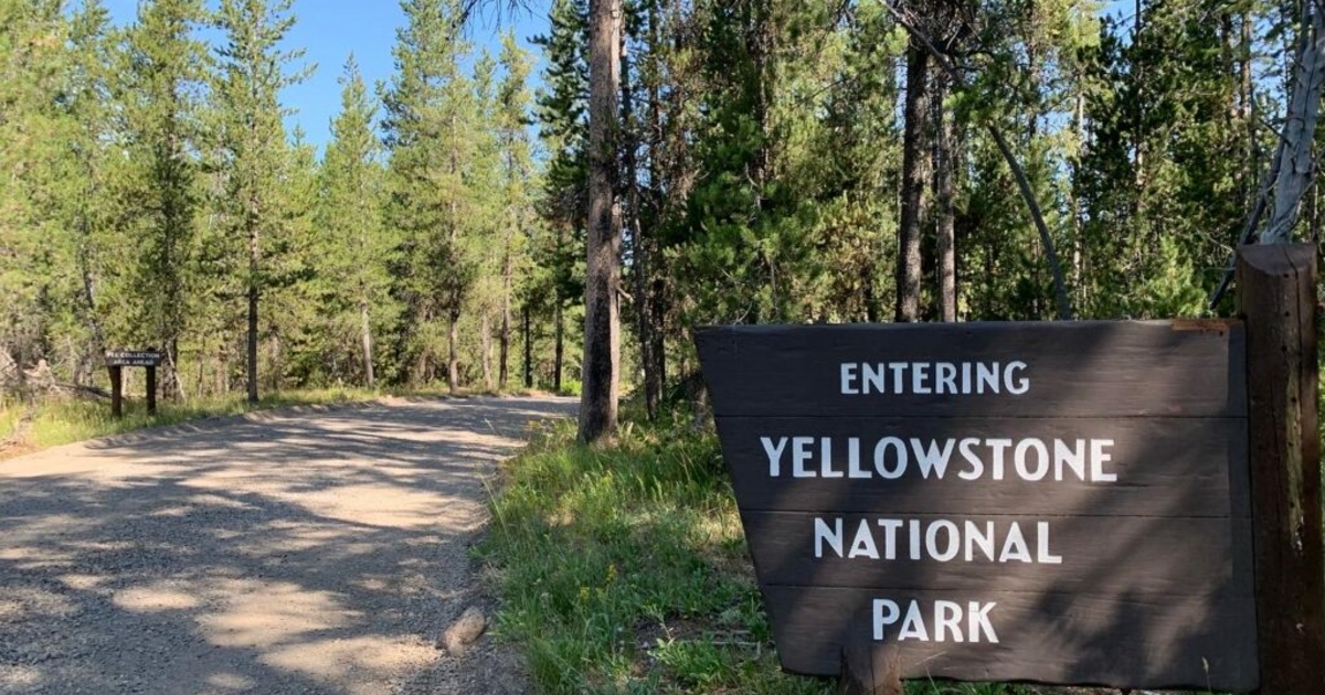 Yellowstone announces series of tribal activities to celebrate national ...
