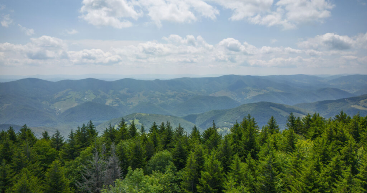 USDA secretary appoints Idahoan Tom Schultz to serve as U.S. Forest ...