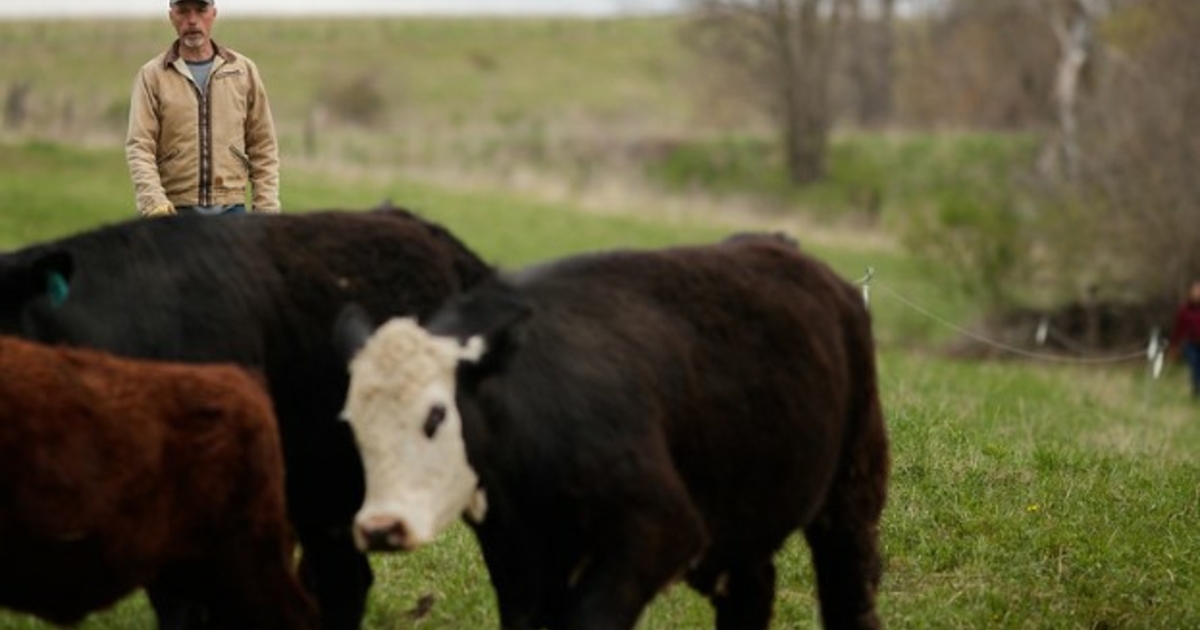 Who decides how your meat is grown? | News From The States