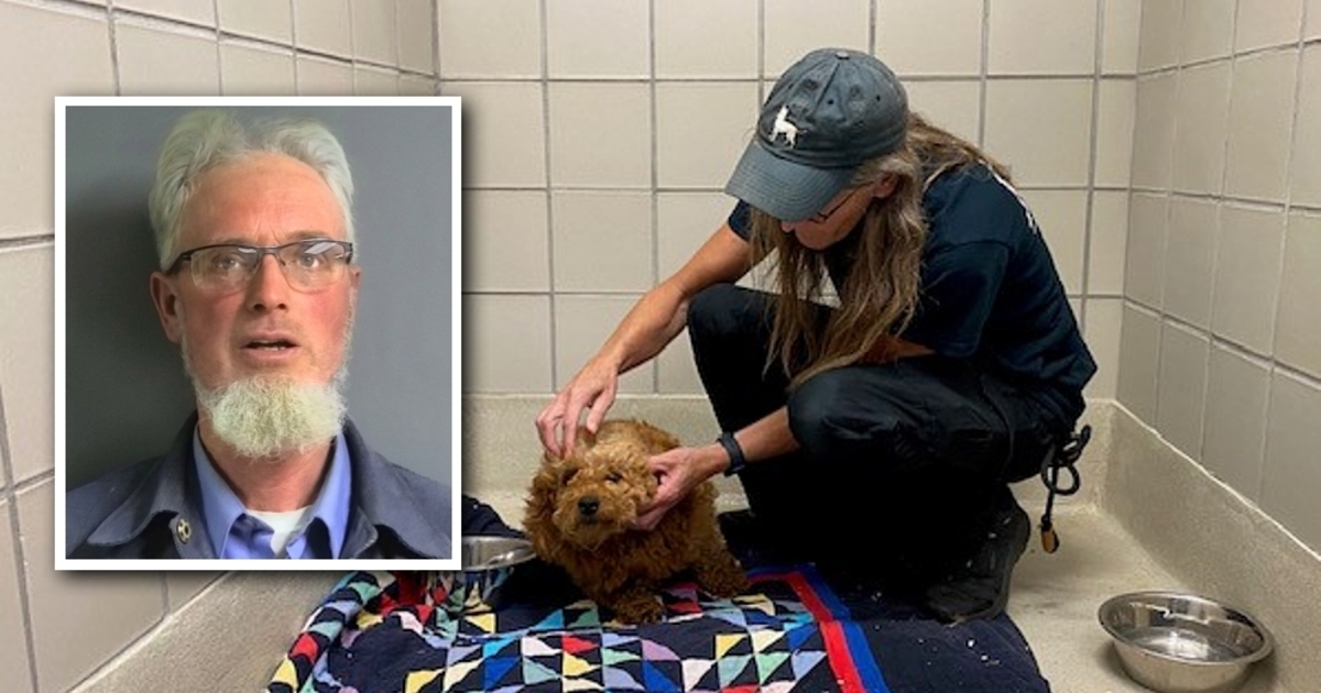 Iowa dog breeder blames ‘brainless’ women for criminal charges | News ...