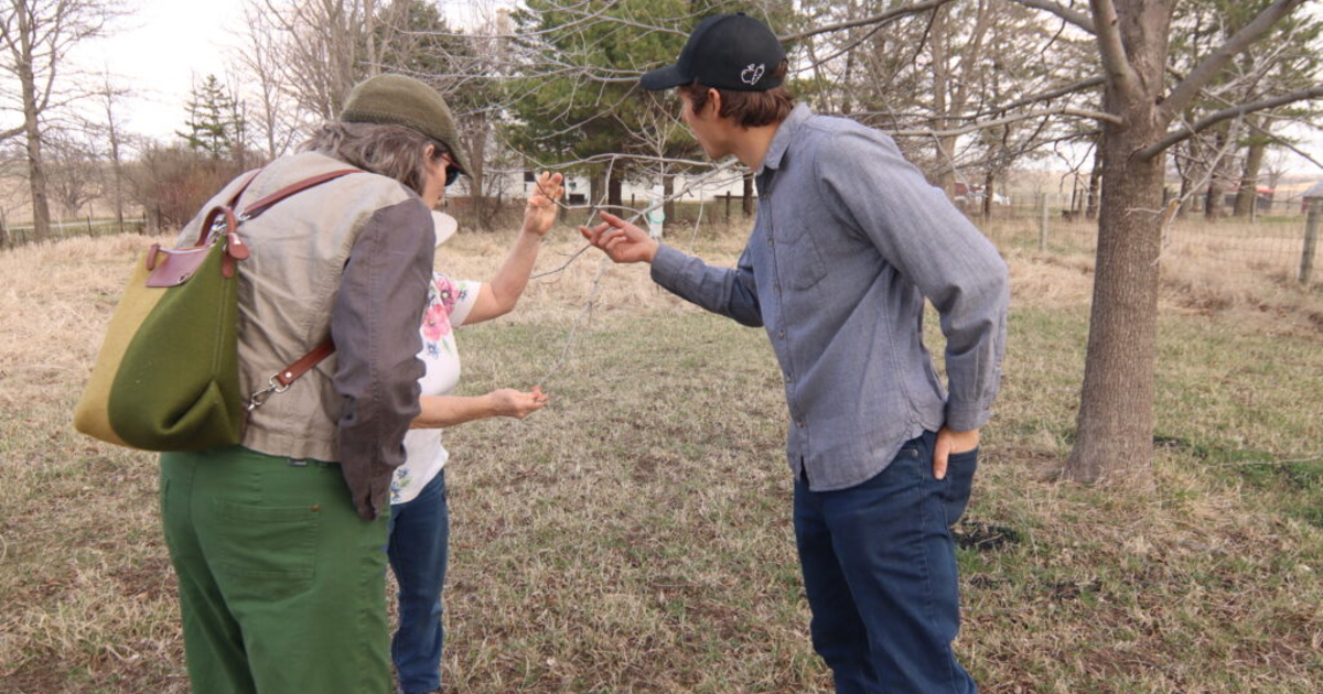 Foraging for oil | News From The States