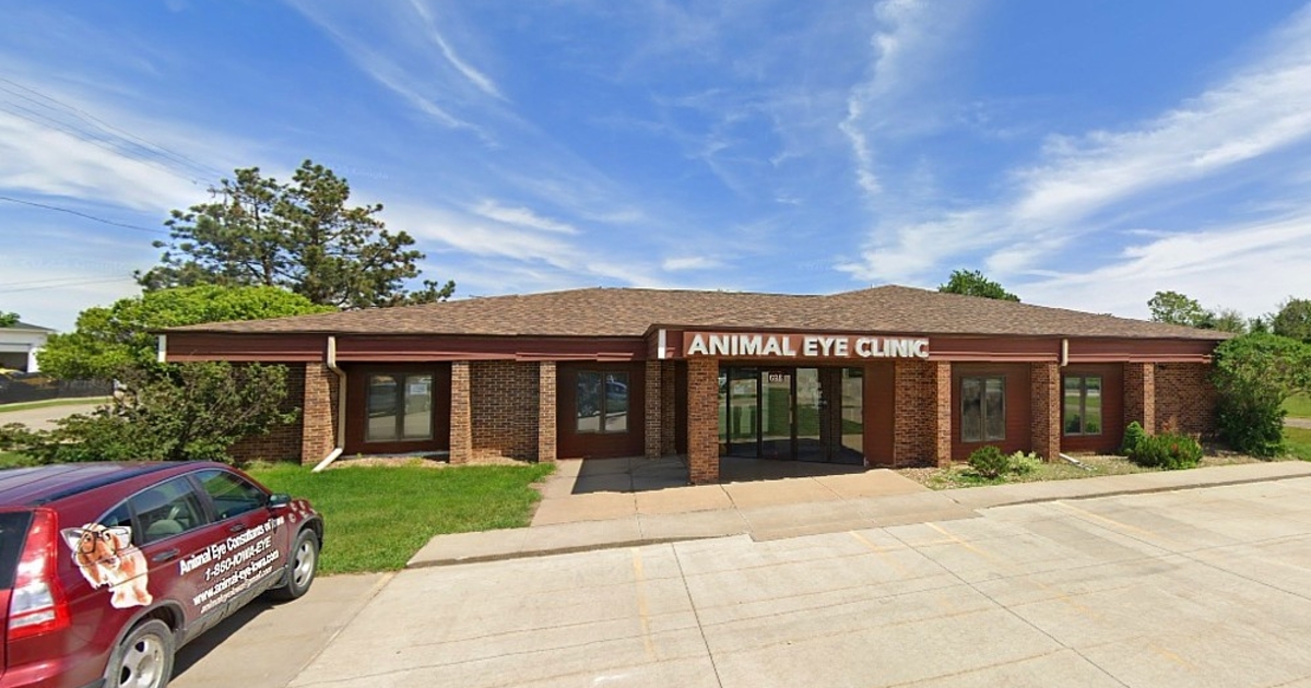 Lawsuit asks whether a wild, rampaging deer is an ‘animal’ | News From ...