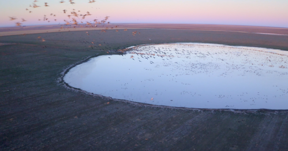Conservation project aims to restore Ogallala Aquifer through naturally ...