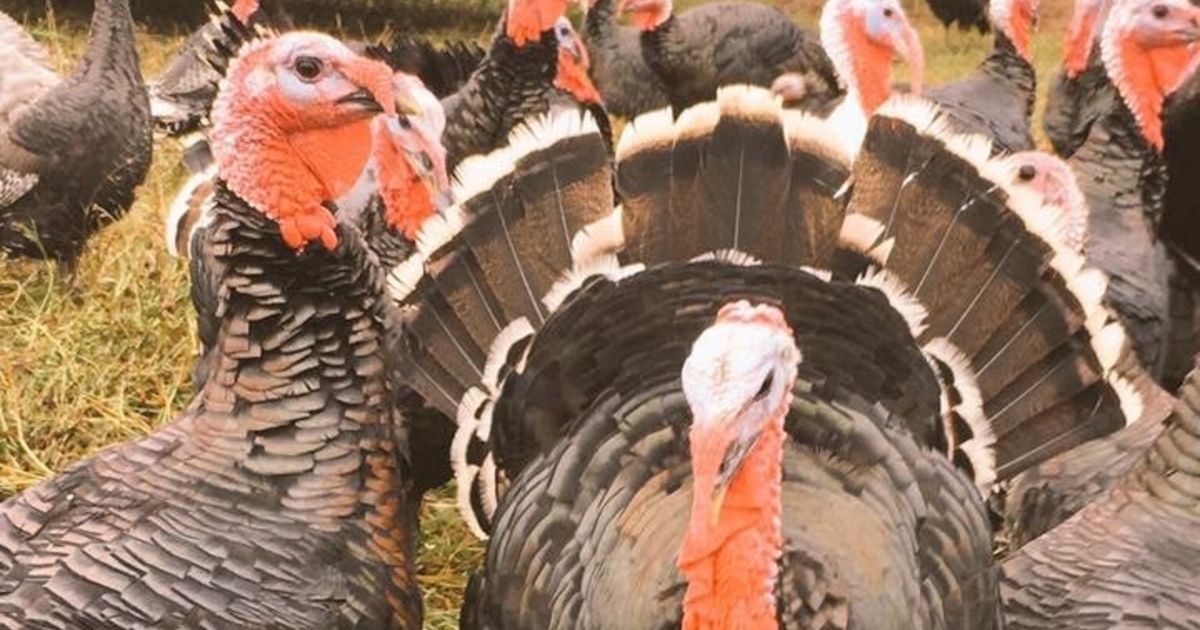 How the federal farm bill hurts Kansas and how to begin fixing it ...