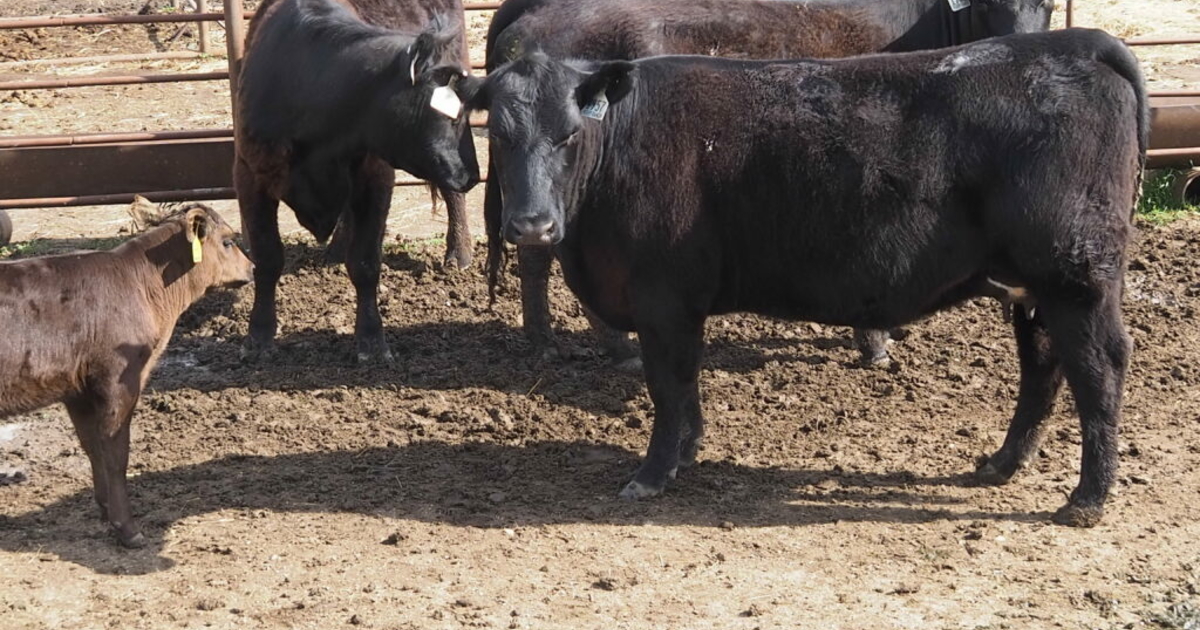 ‘Ideological, partisan breakdown’: Proposed legislation reveals ...