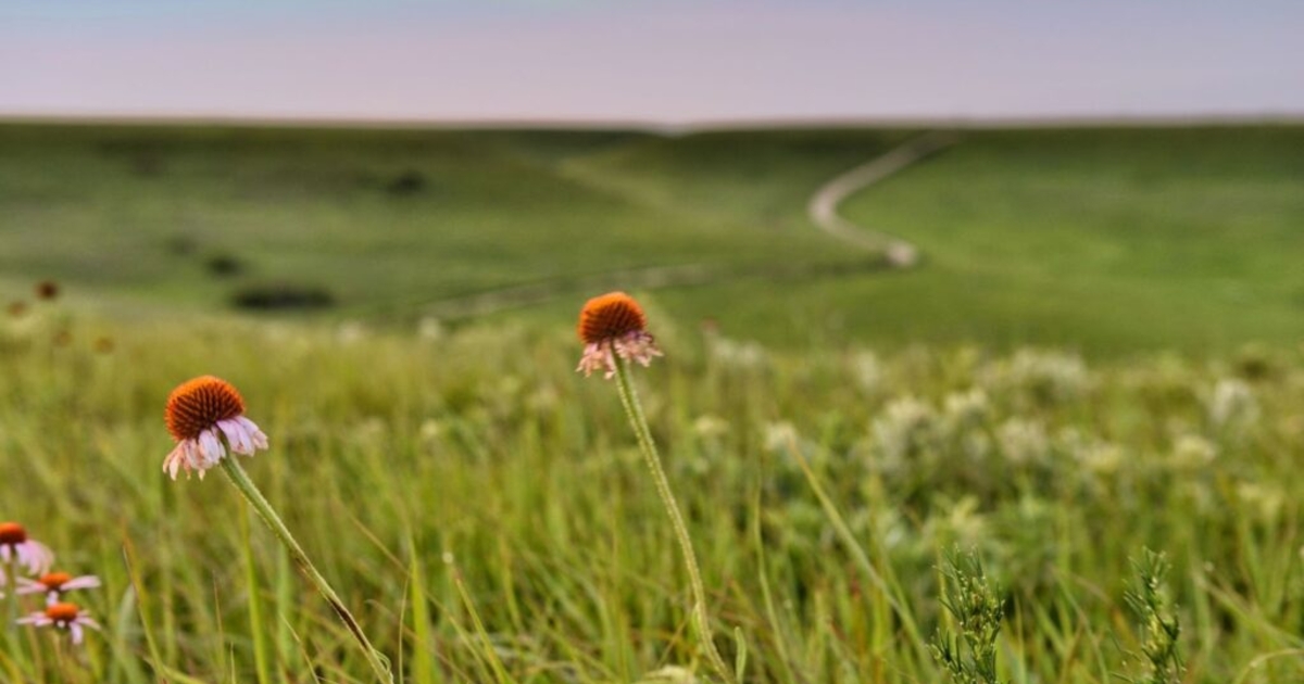 Kansas tourism, spending surge beyond pre-pandemic levels | News From ...