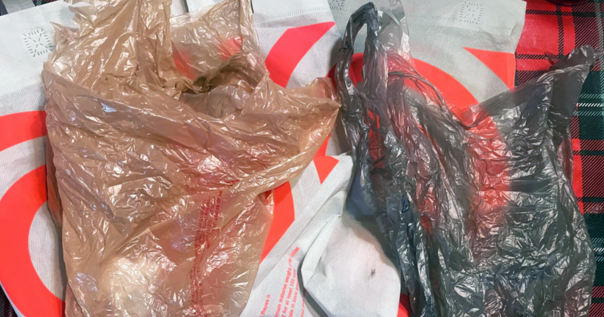 I loathe Lawrence’s new plastic bag ban with a fiery passion. It’s ...