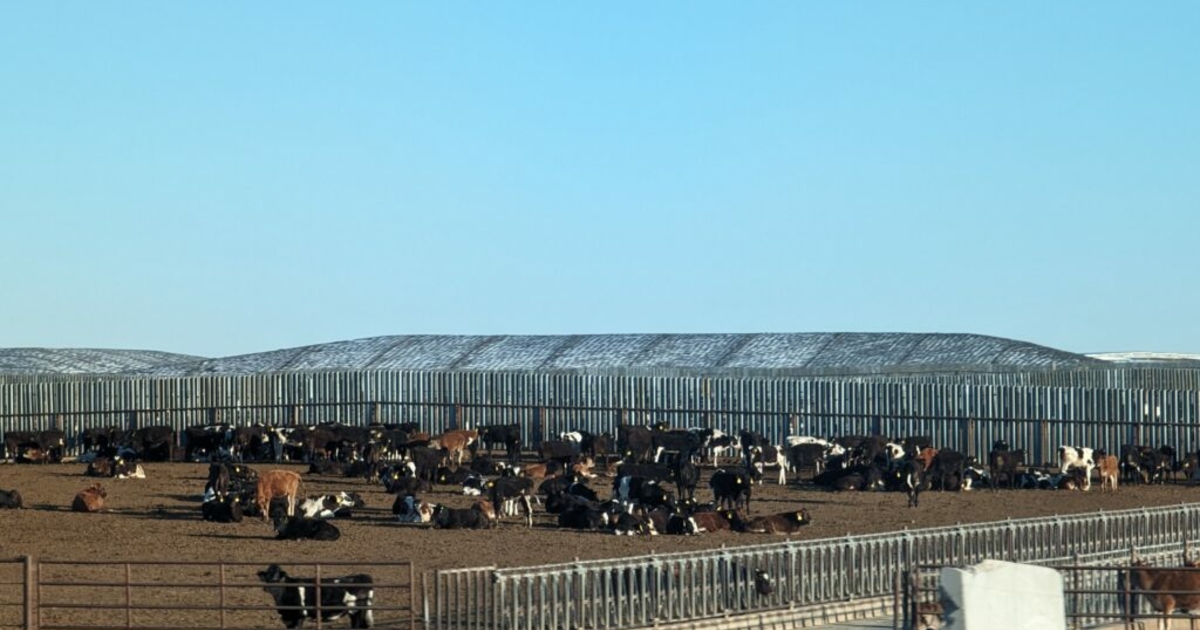 Kansas House tries to fix constitutional flaw to shield agriculture ...