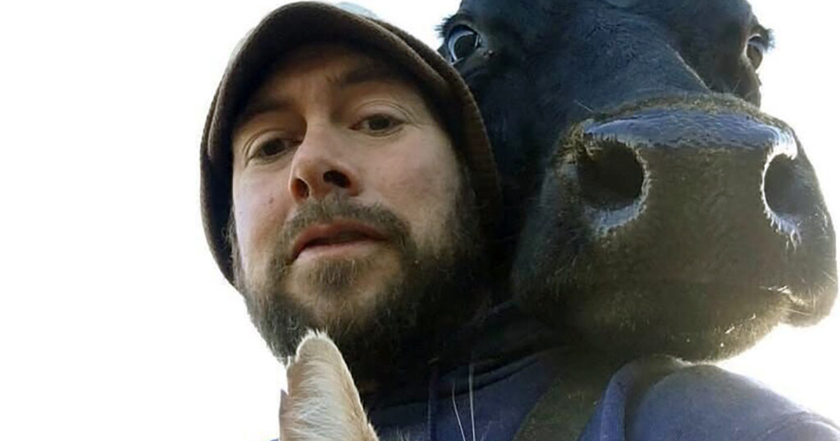 My cow friend, Buffalo, stood beside me throughout my farming career ...