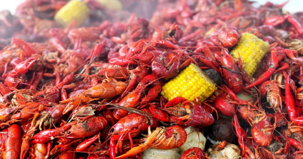 Crawfish industry counts their losses while awaiting federal disaster ...