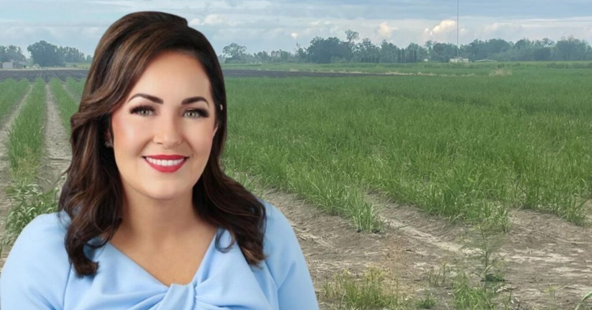 St. John President Jaclyn Hotard accused of perjury in lawsuit linked ...