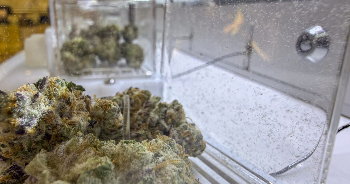 Louisiana pulls out of marijuana reclassification lawsuit against Trump ...