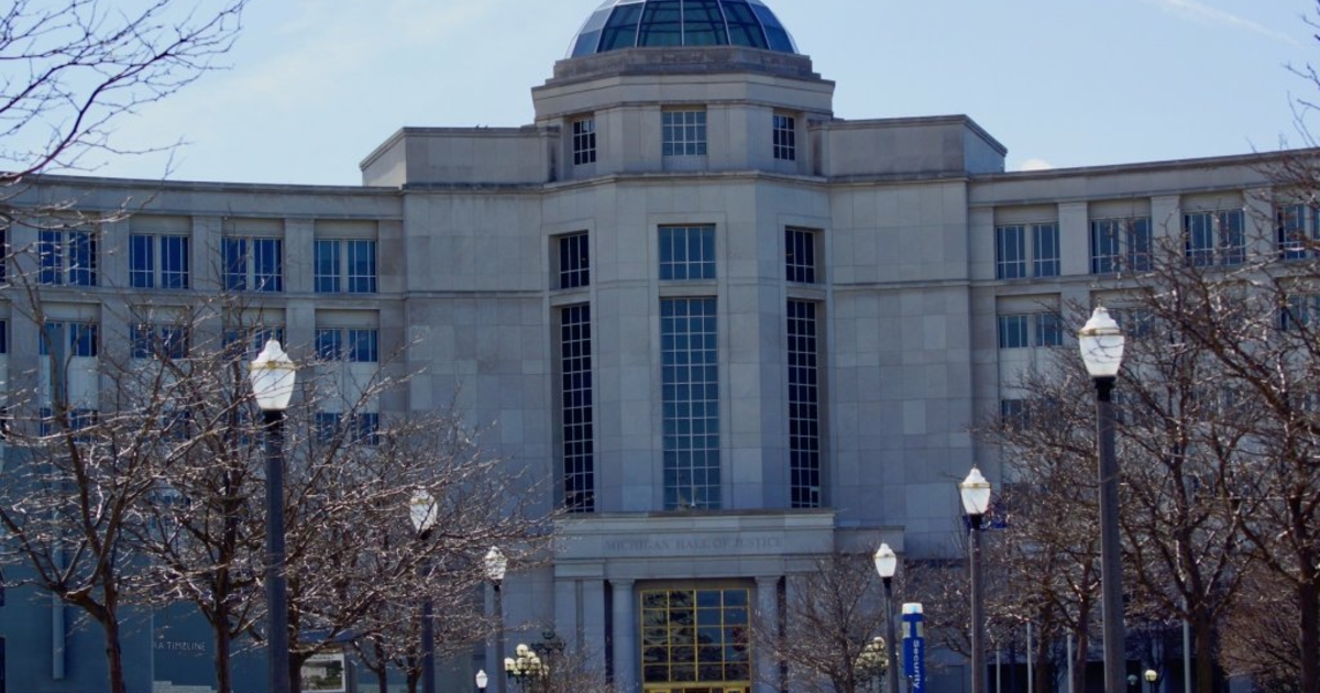 LGBTQ+ couples barred from marriage retain parental rights, Michigan ...