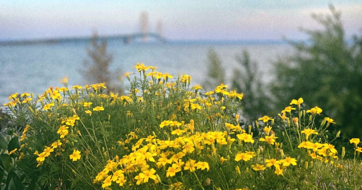 Line 5, PFAS, the Great Lakes and more: Our best environmental ...