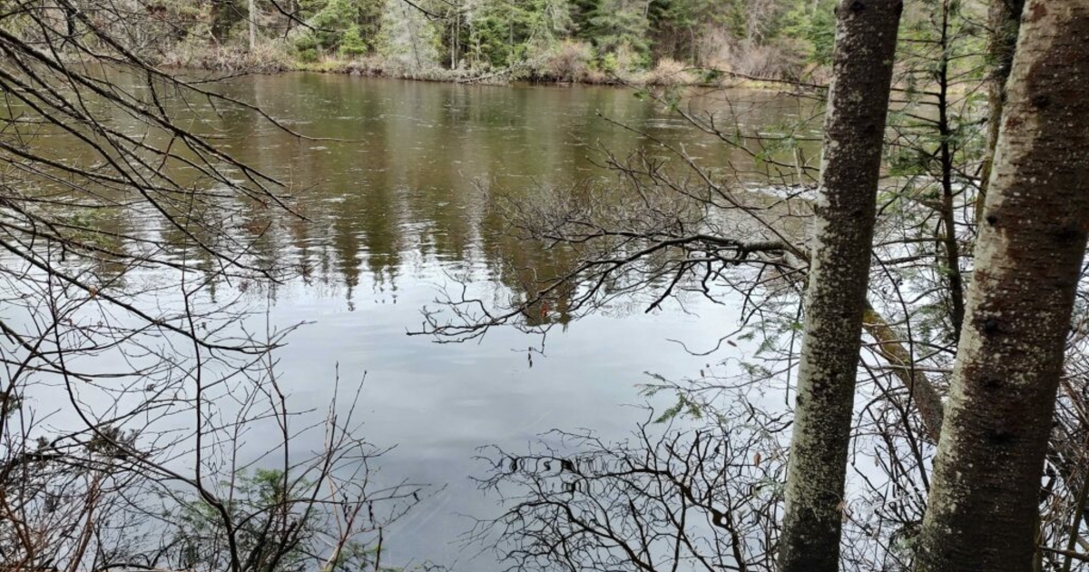 State agencies advise decontamination with discovery of ‘rock snot ...