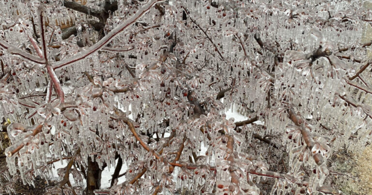 Trump approves major disaster declaration for Michigan following March ...