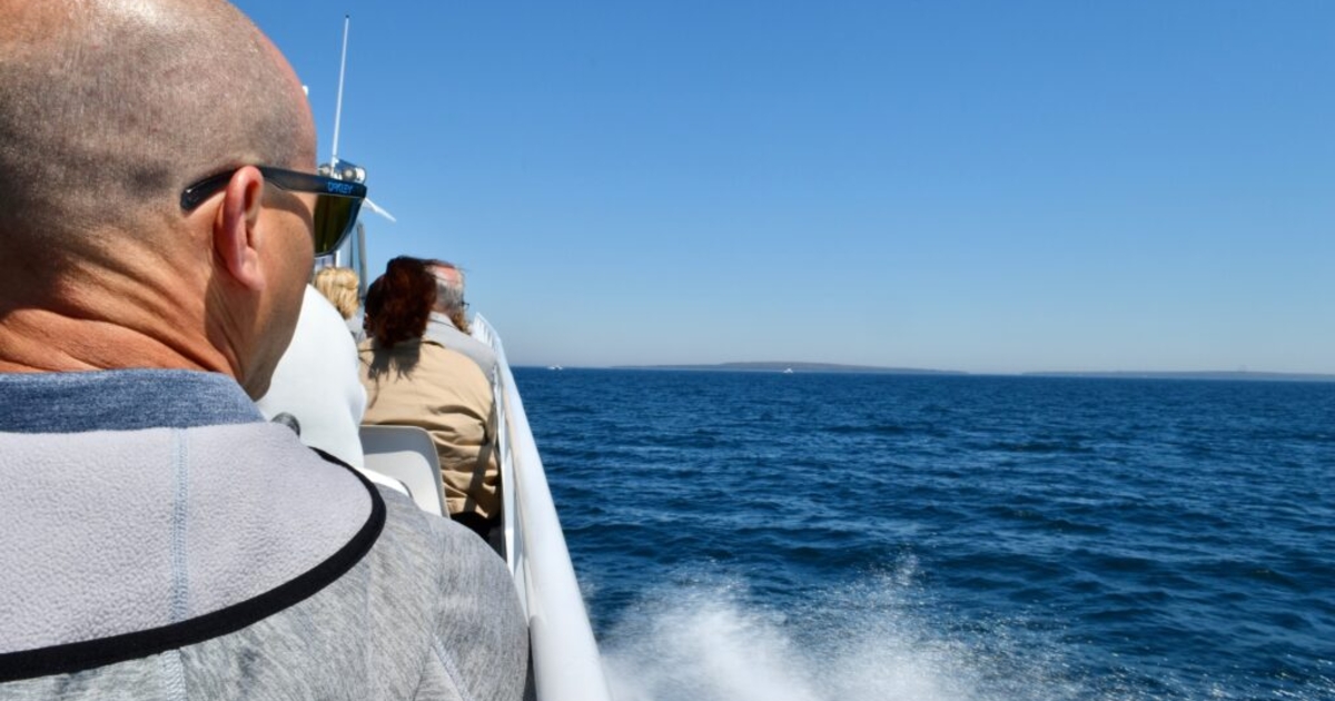 Whitmer signs bill giving Mackinac Island the right to regulate ferry ...