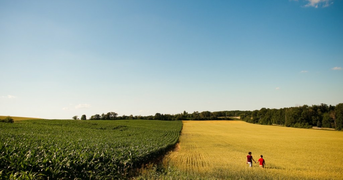 The Topline: Suicide in Minnesota’s rural communities | News From The ...
