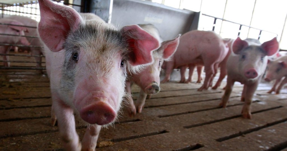 Farm Bill should protect Minnesota farmers, not change the rules to ...