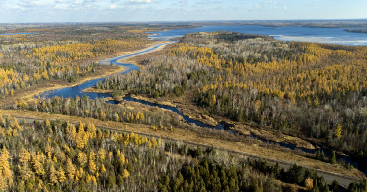 An open letter to the Walz administration from former Gov. Arne Carlson ...