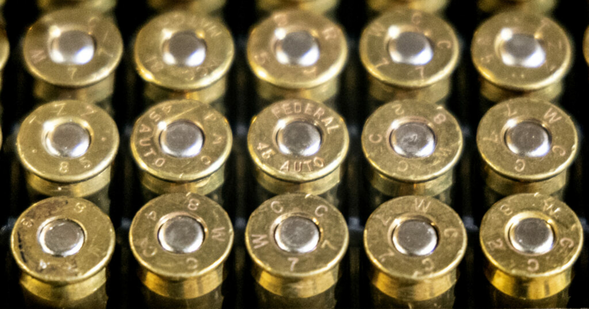 DFL-controlled House to pass gun control bills, harsher punishment for ...