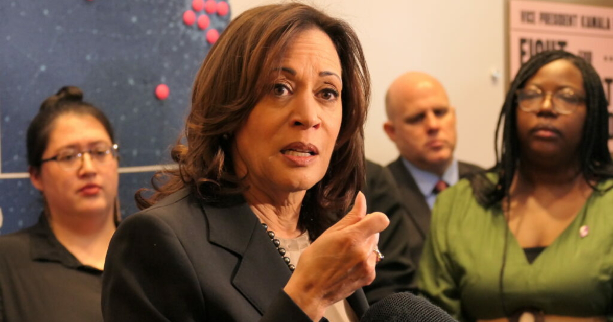 Minnesota voters prove the power of the ballot box in protecting ...