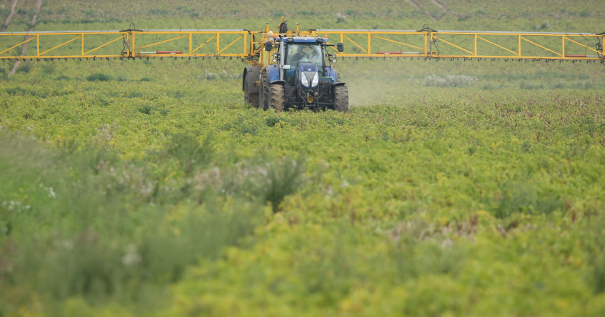 ‘Neonics,’ pesticides with harmful environmental effects, are common in ...