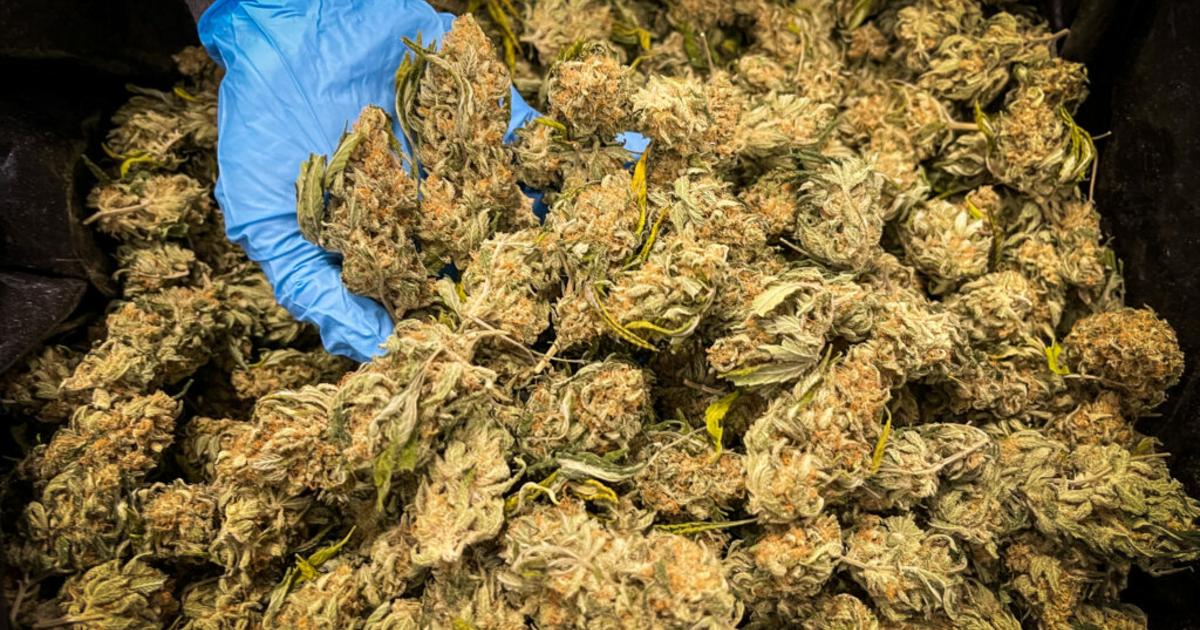 Missouri judge rules local governments can stack sales tax on marijuana ...