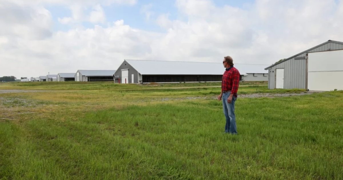 USDA’s Tyson Foods investigation collected thousands of documents ...
